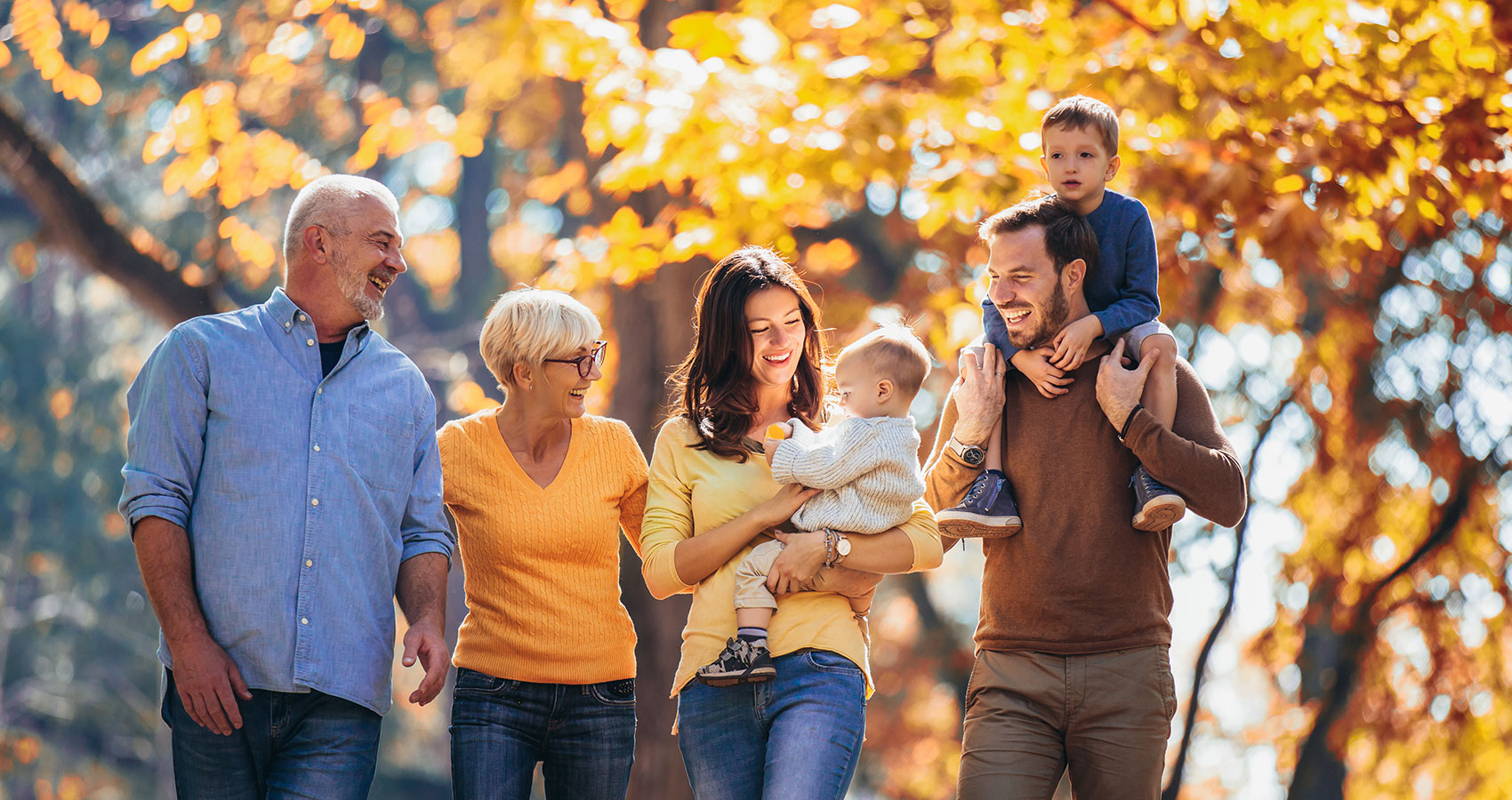 About OS4WEP - One Stop 4 Wills & Estate Planning